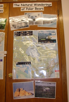 The Migration Project: School Displays