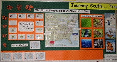 The Migration Project: School Displays