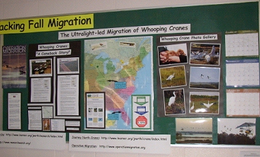 The Migration Project: School Displays