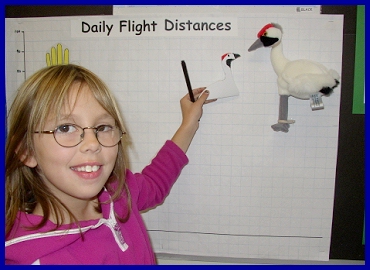 Whooping Crane Central: Projects